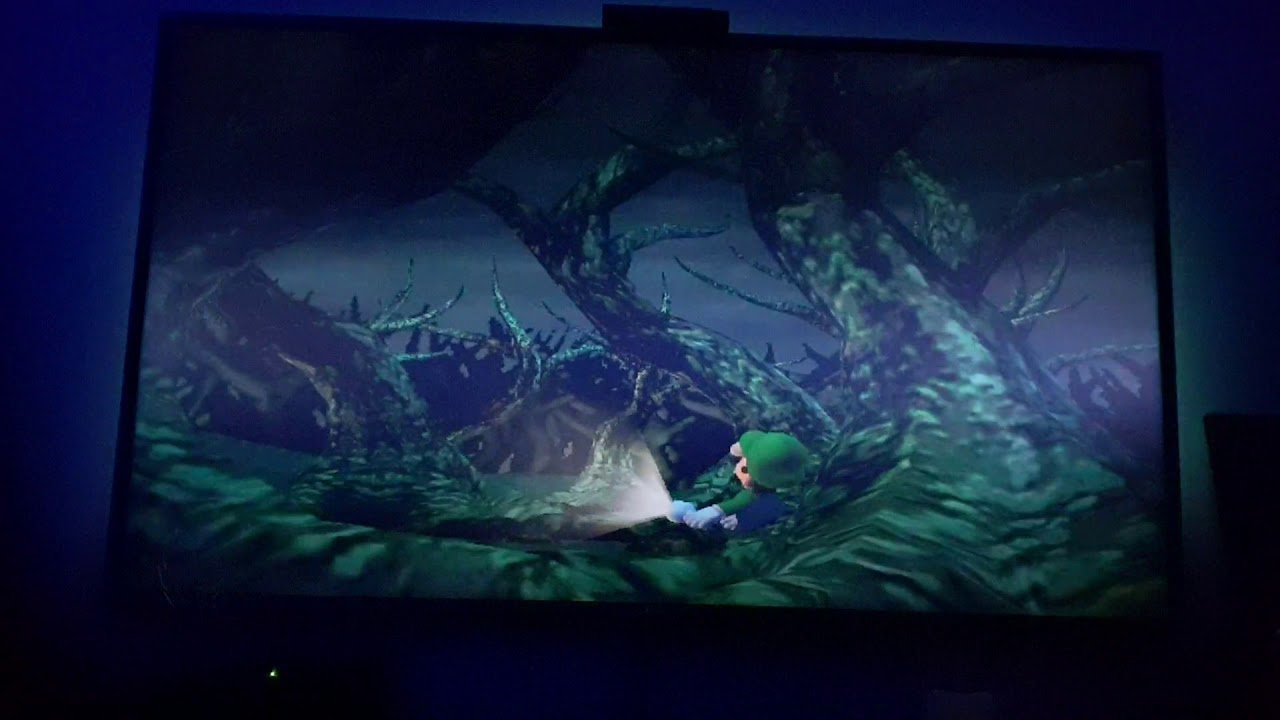 dolphin on xbox serie X (dev mode) - YouTube