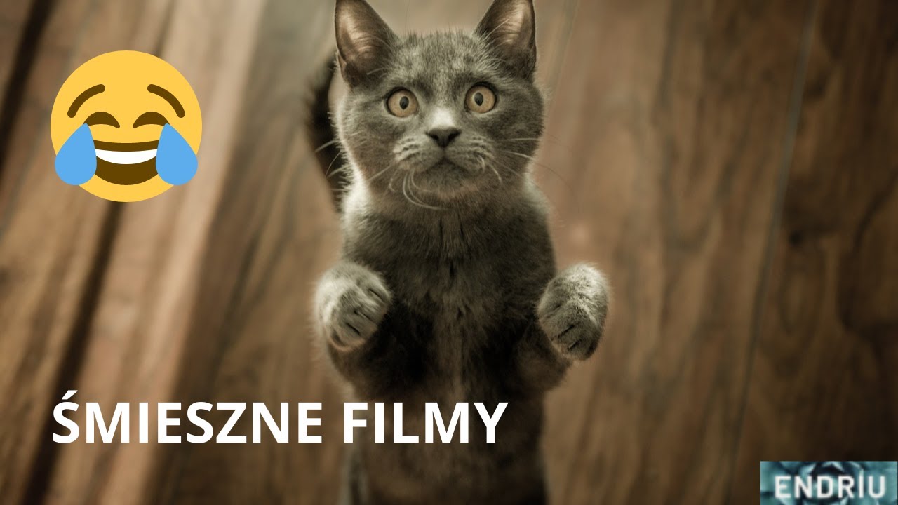 Śmieszne filmy, Śmieszne filmiki, Śmieszne filmy o ludziach i ...