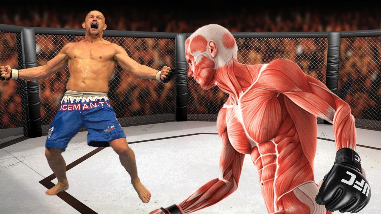 The Best Body Type for MMA - YouTube