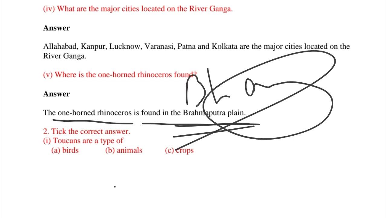 Class 7, Chapter 8, Geography, Questions and Answers - YouTube