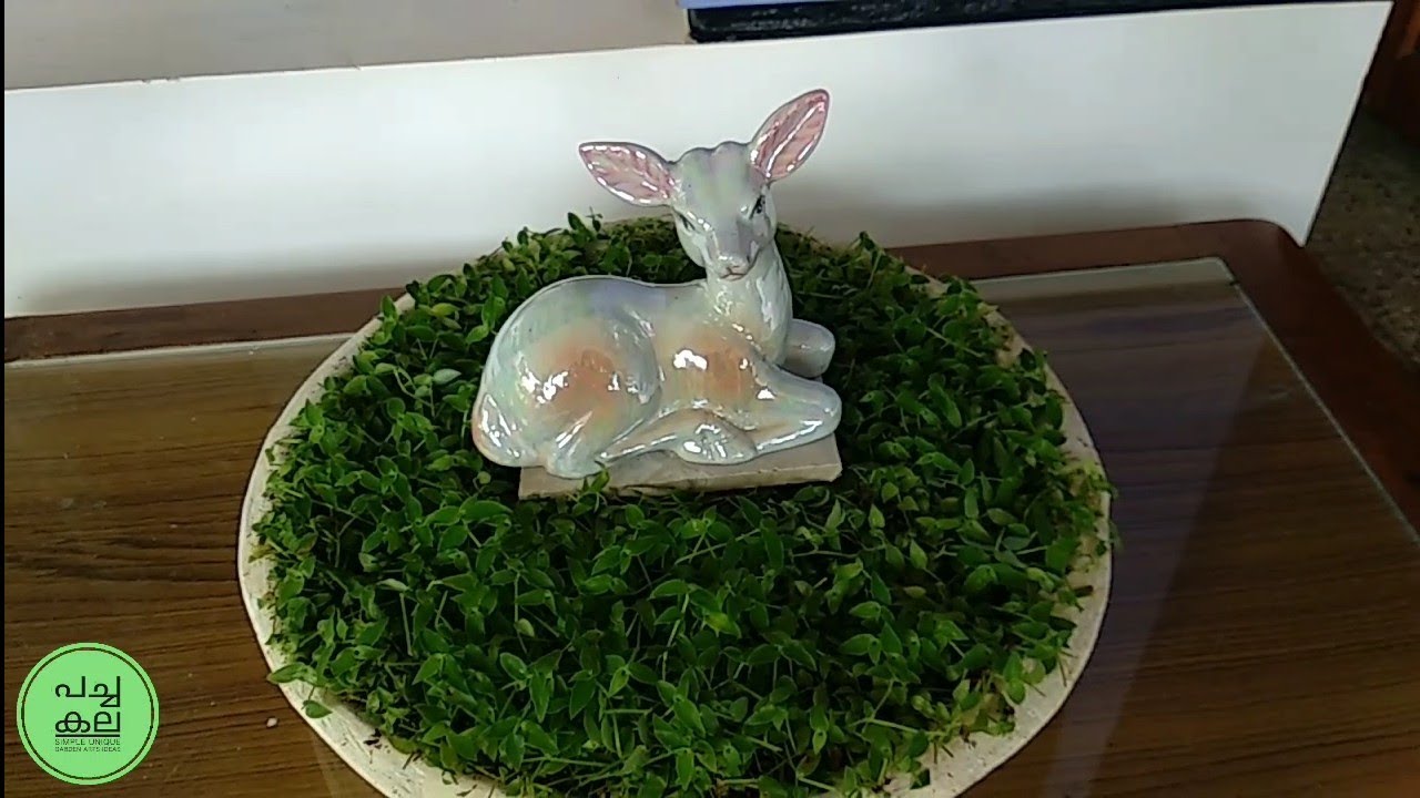The simple Miniature lawn - YouTube