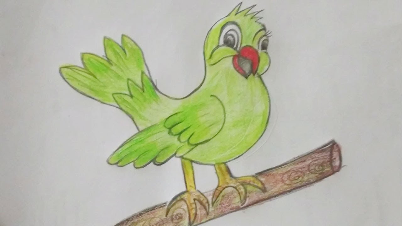 How To Draw a Parrot Sitting On a Tree | Parrot Drawing Easy Steps ...