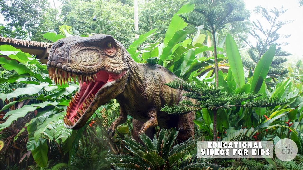 Carnivore vs Herbivore Dinosaurs | Dinosaur Diets - YouTube