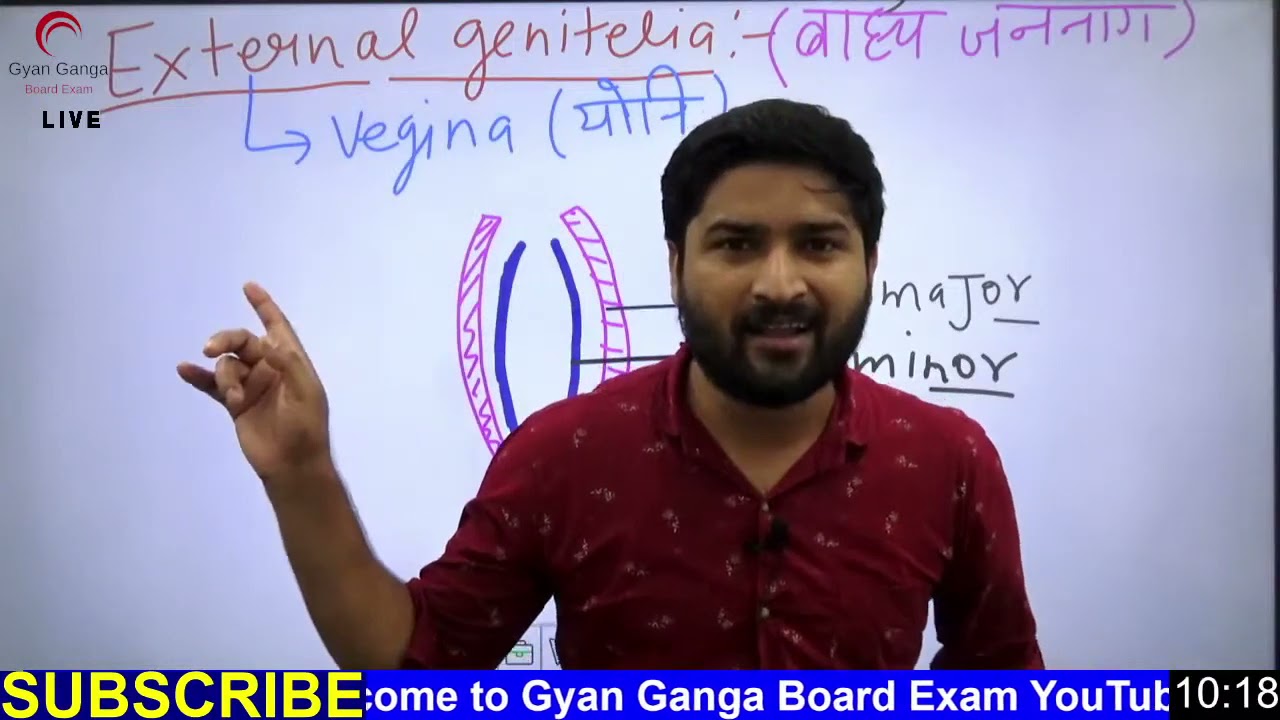 Human reproduction.3rd lecture.(12th class Neet syllabus pandey classes prayagraj) by allauddin ...