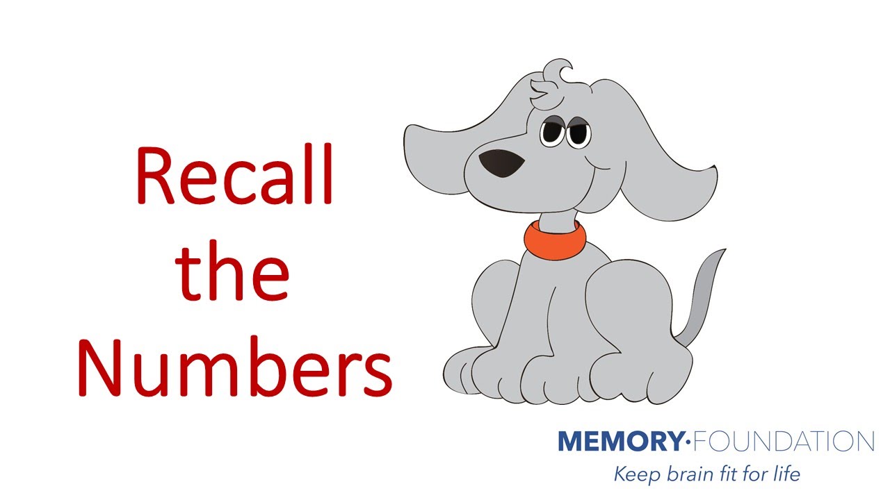 Is My Memory Normal? Try Recalling These Numbers! Improve my Memory ...