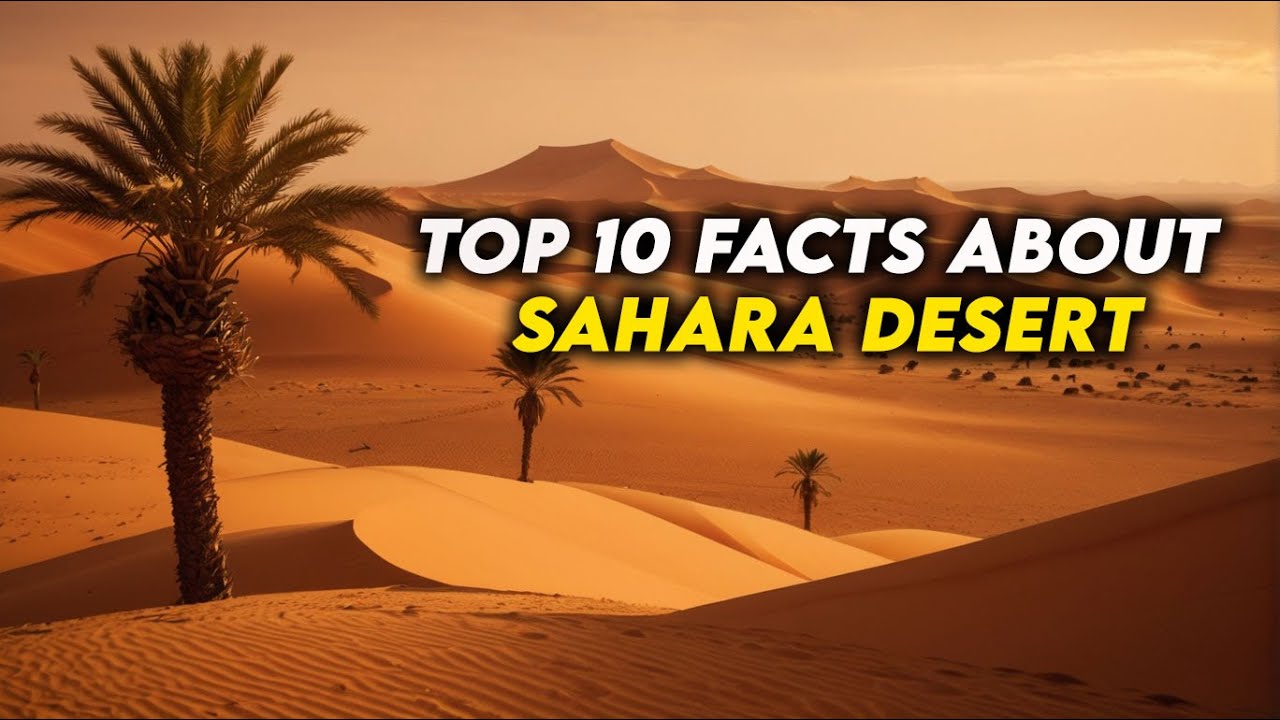 10 Fun Facts About the Sahara Desert You Shouldn't Miss - YouTube