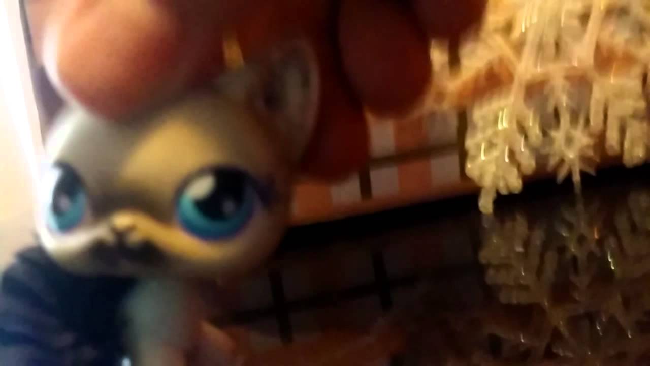 How to make an lps room - YouTube