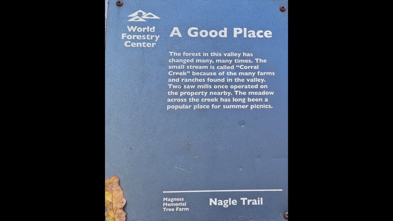 Magness Memorial Tree Farm Nagel Trail Walk - YouTube