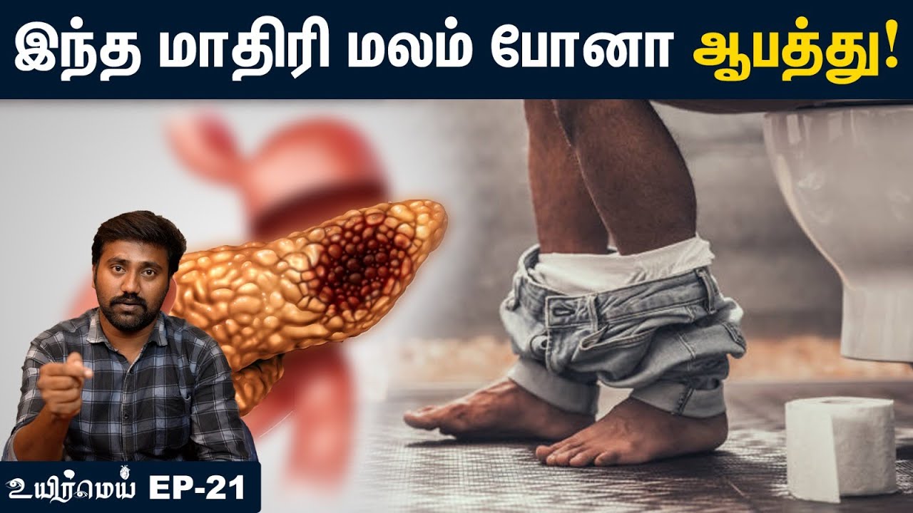What is the function of pancreas? | கணையம் செய்யும் வேலைகள்! கணையம் ...