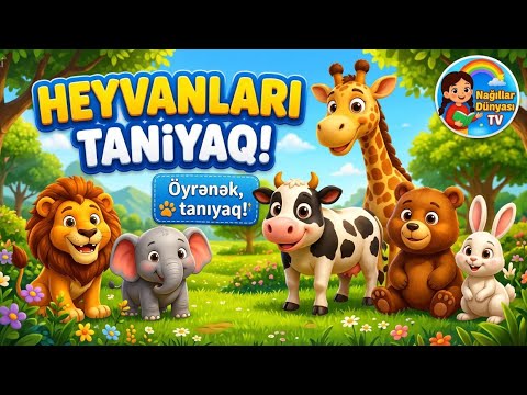 Heyvanları tanıyaq🦁🐻 | Heyvanlar haqqında məlumat öyrənək | Heyvanları öyrənək 