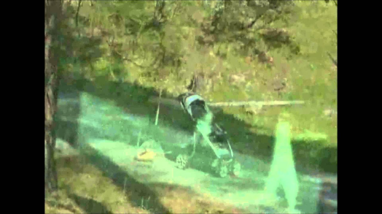 Strange Alien Creatures filmed in Yosemite March 28 2011 - YouTube
