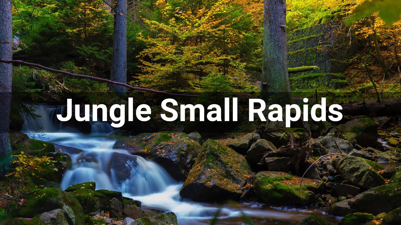 Jungle Small Rapids • Ambiences • Sounds Effects (No Copyright Sounds ...