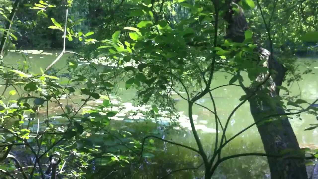 Rainbow Lake - Burstwick, Hull, East Yorkshire - YouTube
