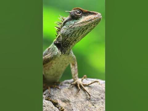 Mind-Blowing Random Facts You Probably Didn't Know ep.56 #shorts # ...