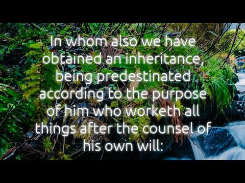 APOSTLE PAUL TAIWO is live! - YouTube