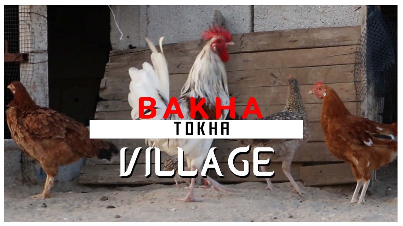 BAKHA TOKHA VILLAGE CLIP OFFICIEL - YouTube Music