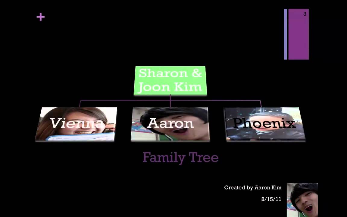 The Life of Aaron Kim - YouTube