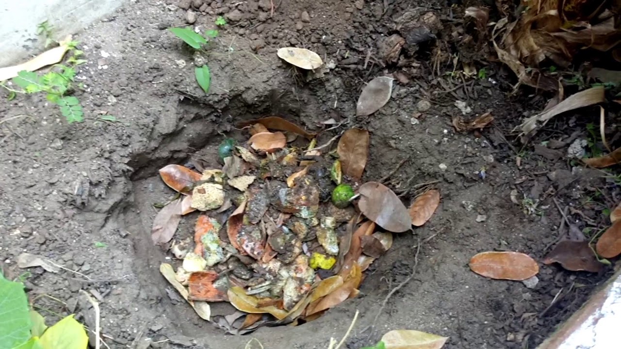 COMO HACER UNA COMPOSTA CASERA Y FACIL - YouTube