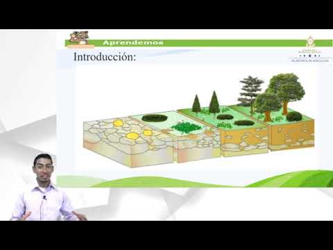 Agentes naturales que modifican el ambiente – Quinto Grado – Ciencias ...