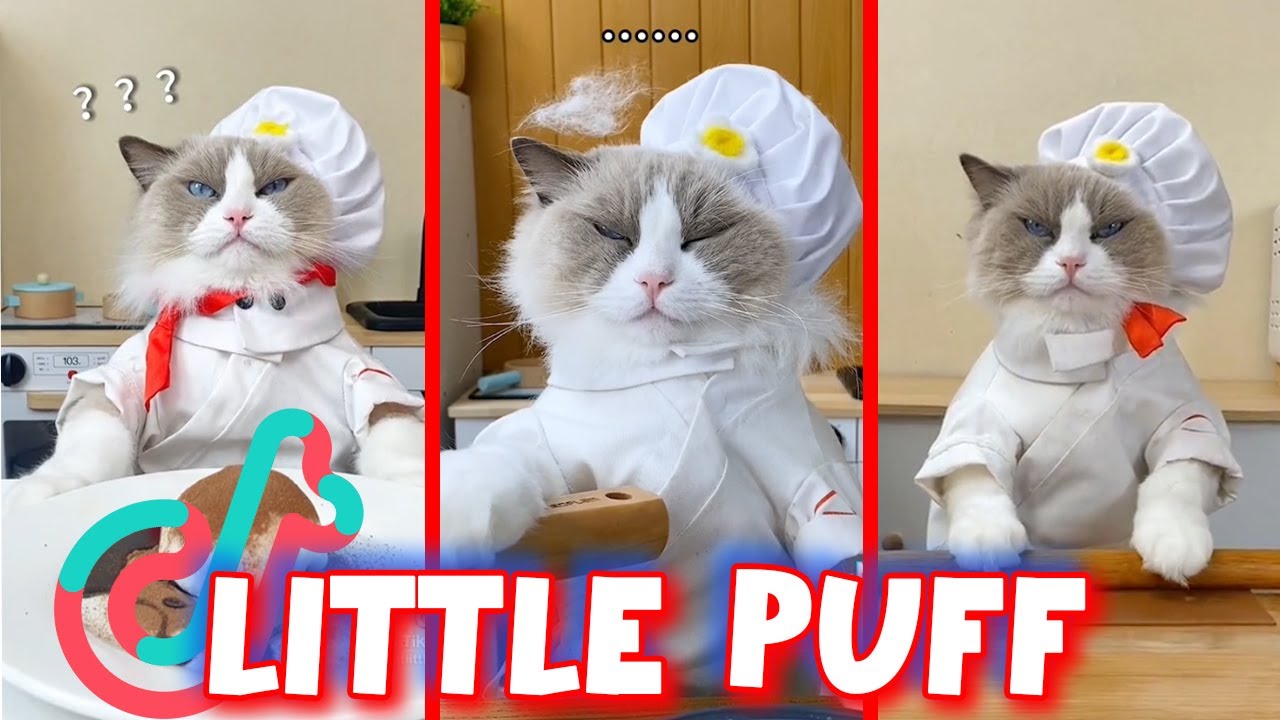 That Little Puff | COMEDY VIDEOS | MARCH 2024 - YouTube