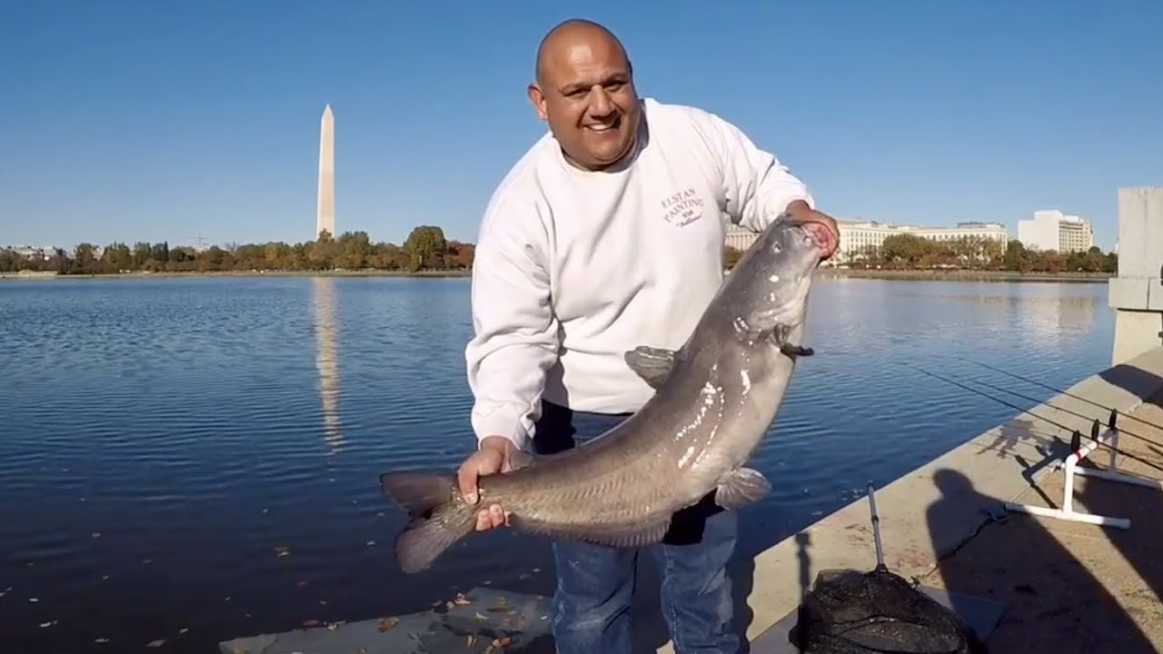 Catching Big Blue Catfish With New Friends - YouTube