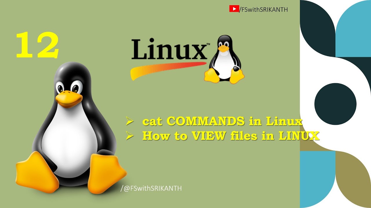 Cat Commands In Linux How To View Files In Linux Everything About Linux From Scratch Youtube