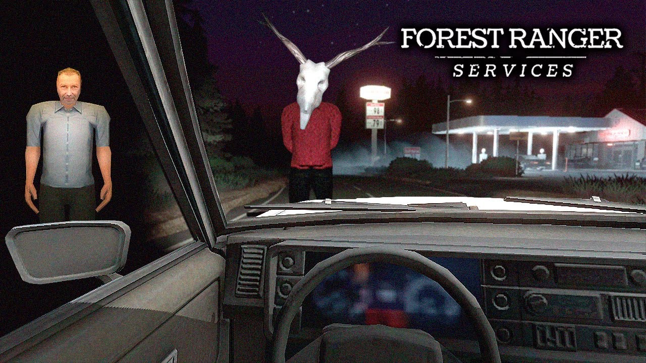 Forest Ranger Services: The Pilot Investigating Disappearance of Hikers ...