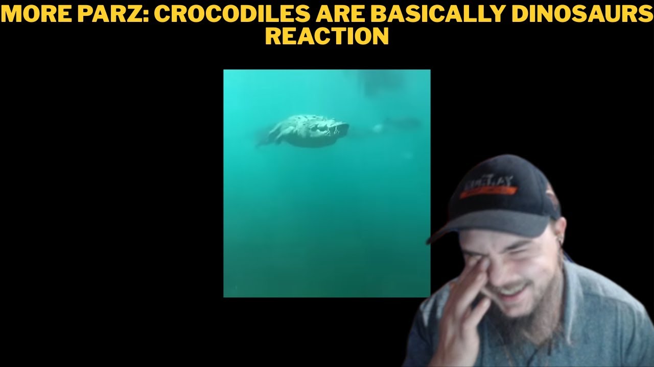 More Parz: Crocodiles Are Basically Dinosaurs Reaction - YouTube