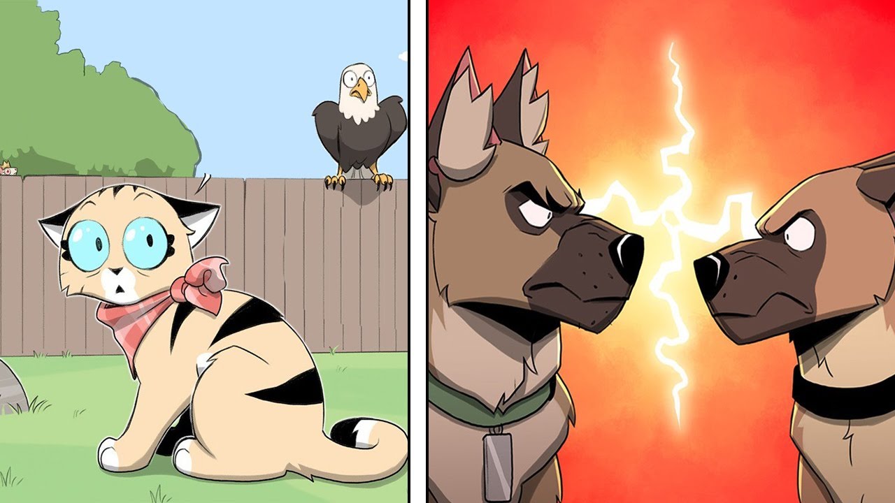 Military Dog and Cute Kitten Friendship - Pet Comic | Daily Comic #44 ...