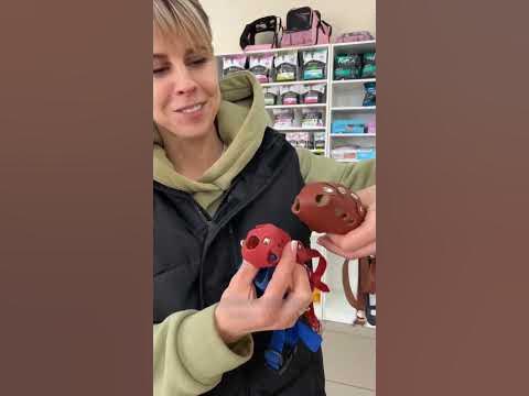 Самые лучше намордники для мелких пород собак #собаки #животные # ...