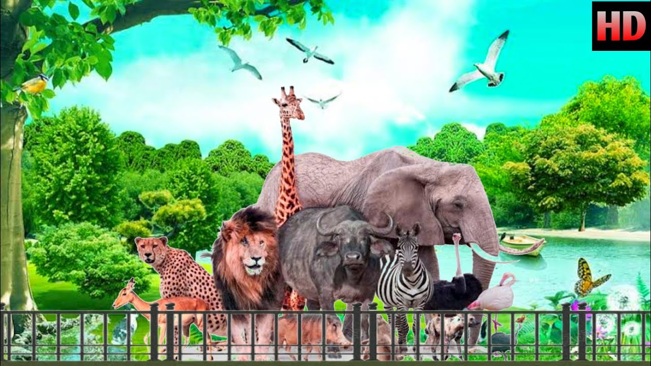 Puri Nondonkanon ZOO Park | World No 1 | @UtpalMJ - YouTube