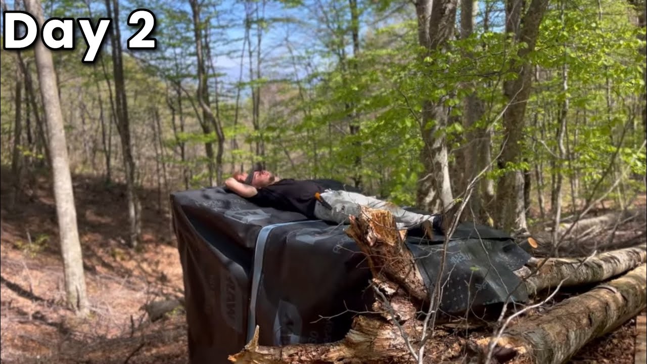 Day 2: Elevating the Structure | Log Cabin Building in the Wilderness ...