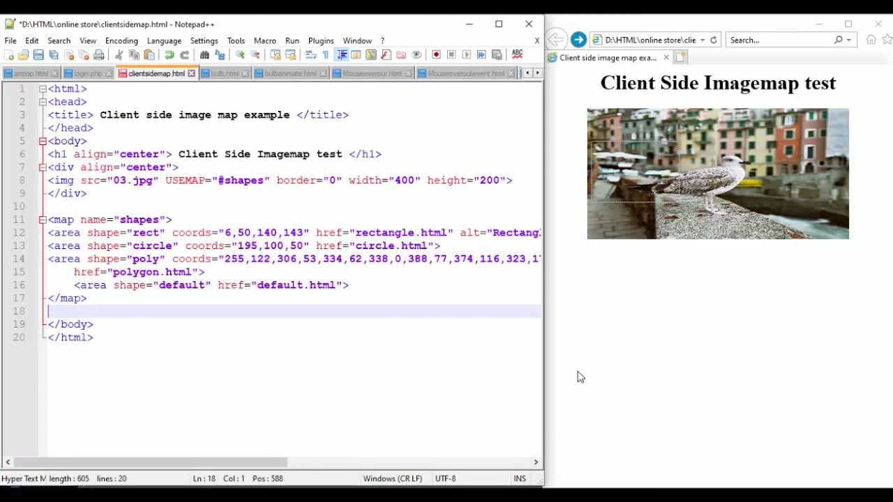 HOW TO USE ALT AND TITLE ATTRIBUTE IN HTML? - YouTube