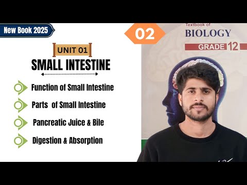Class 12 || Chapter 01|| Digestive system|| Small Intestine Complete ...