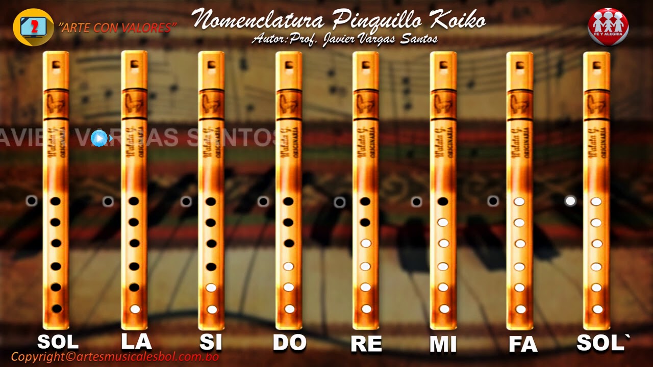 EL PINQUILLO (nomenclatura )PRIMARIA - YouTube