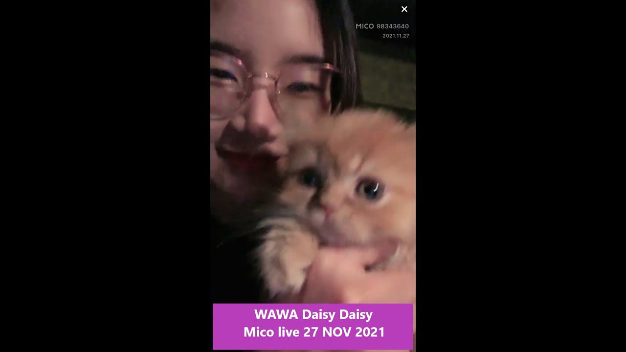 Live วาวา | WAWA DAISY DAISY | Mico Live (Kitty) 27 NOV 2021 - YouTube
