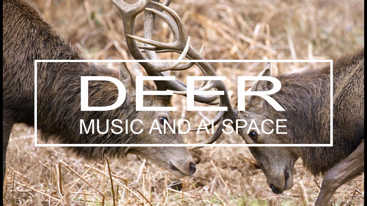 Deer Relax Sounds Nature #35 24/7 2023 🦌 24/7 Video in 4K Ultra HD ...