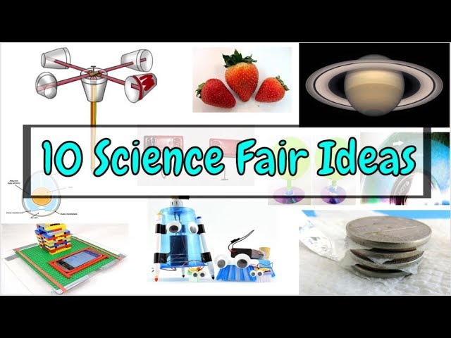 Science Fair Projects Ideas For 6th Grade