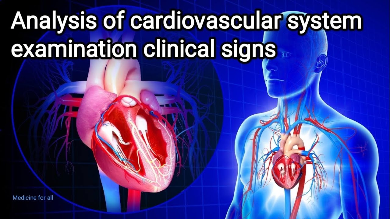 Analysis of cardiovascular system examination clinical signs - YouTube