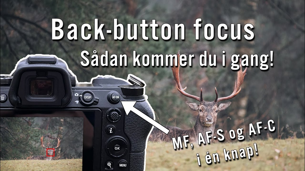 Back-button focus: MF, AF-S og AF-C i én knap! - YouTube
