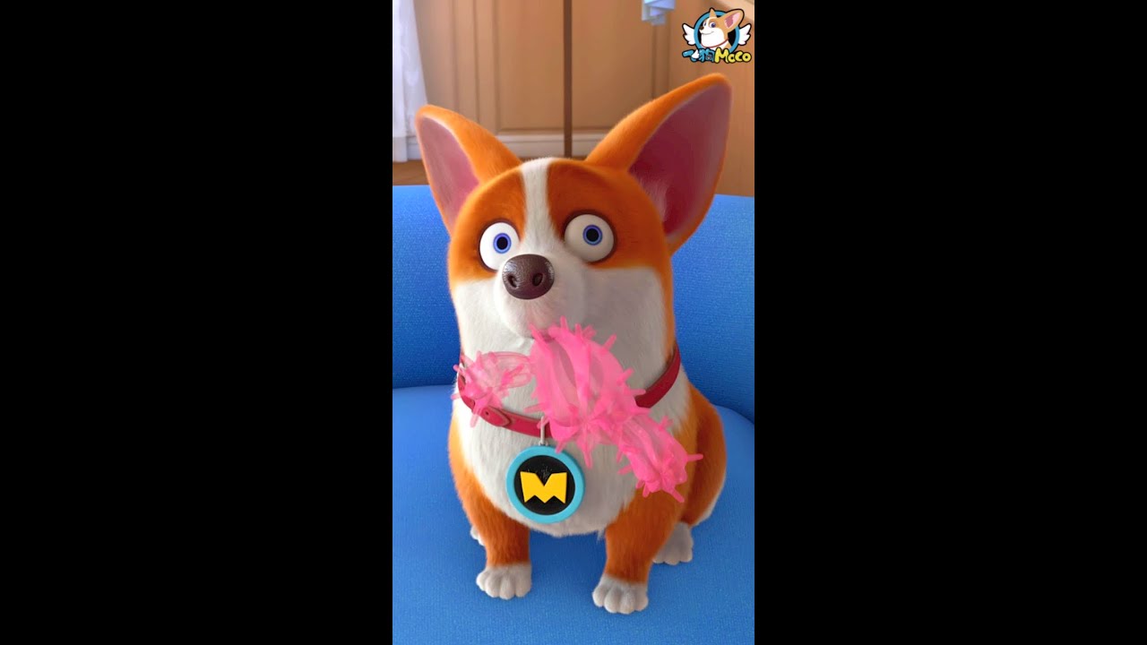 MOCO and YUMMY🐶 | Bubble Gum Battle 泡泡糖大戰 | Flying MOCO Shorts 爆笑飛狗MOCO ...