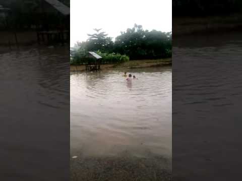 Anak2 mandi di sawah selepas hujan