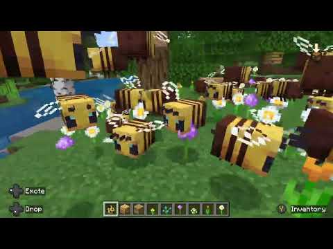 Bees Bees Bees?? - YouTube