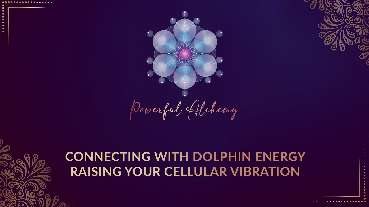 Connecting With Dolphin Energy Raising Your Cellular Vibration - YouTube