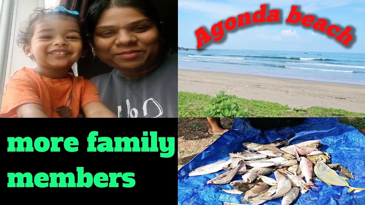 Agonda Beach | Fresh Fish From Sea | Miraculous cross In Agonda And ...