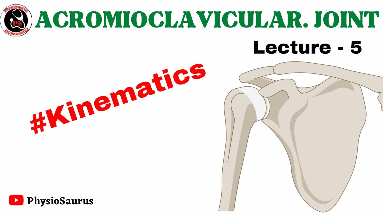 Kinematics of acromioclavicular joint | Shoulder complex | Biomechanics ...