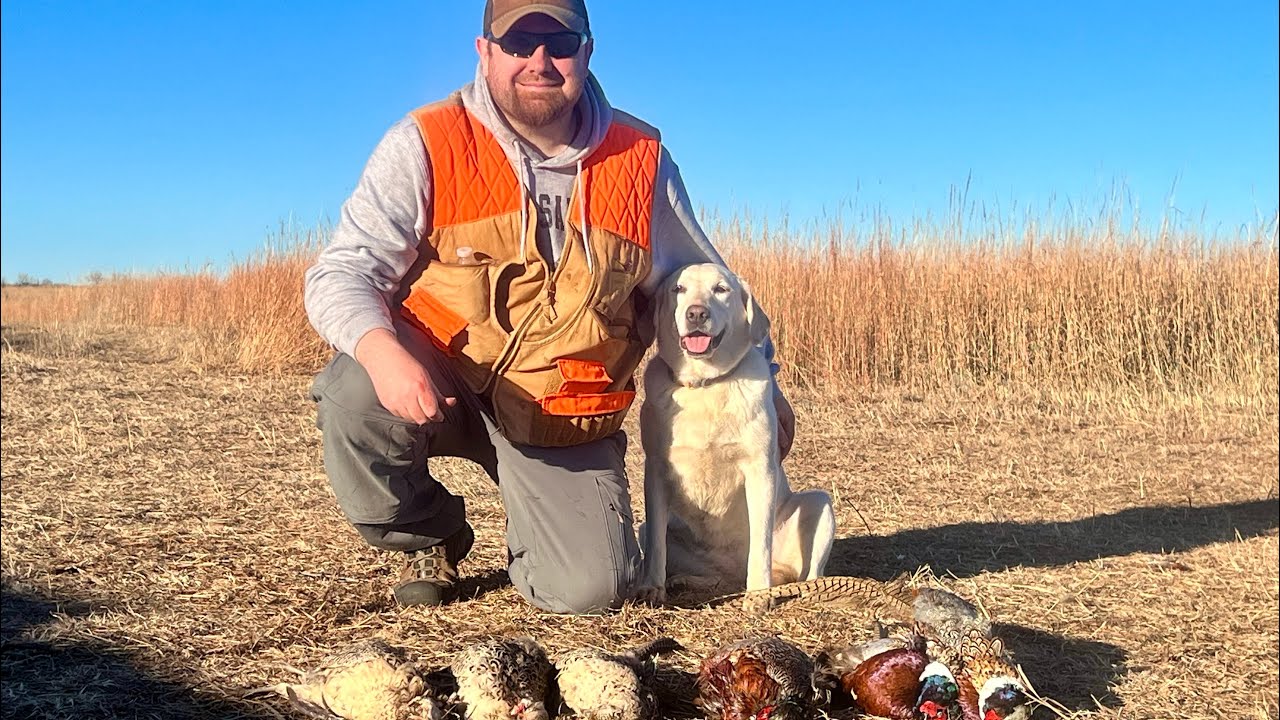 Kansas Pheasant Preserve Hunt - YouTube