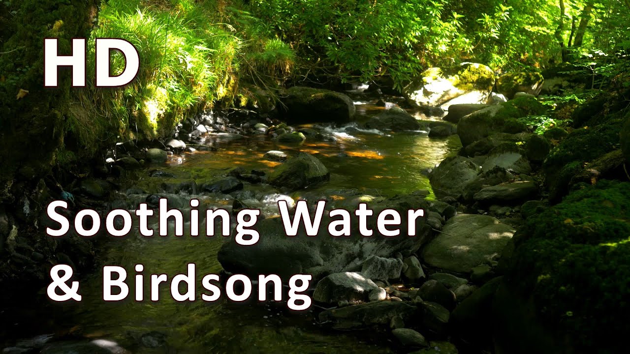 HD Calm River Flow – Soothing Water & Birdsong – Stress Relief ...