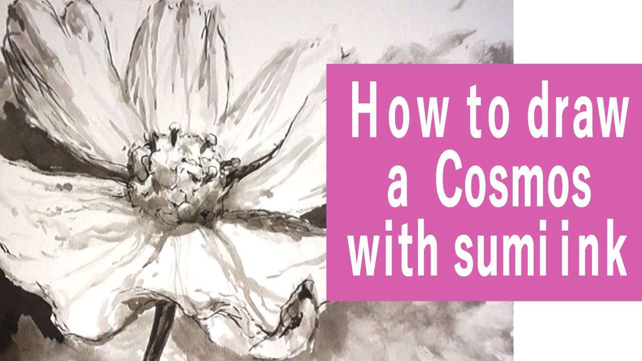 How to draw a Cosmos with sumi ink. - YouTube
