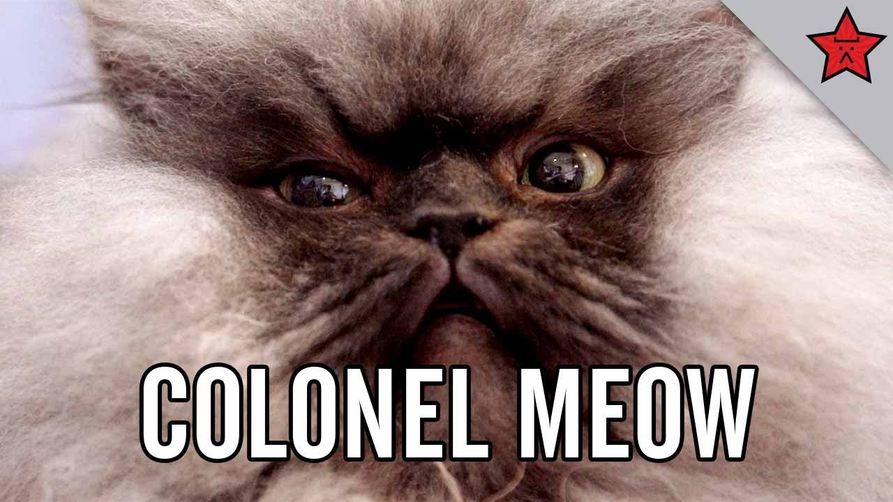 مصمم الملابس بلوك جديد للأطفال ورضع: فستان الوليد الأحمر